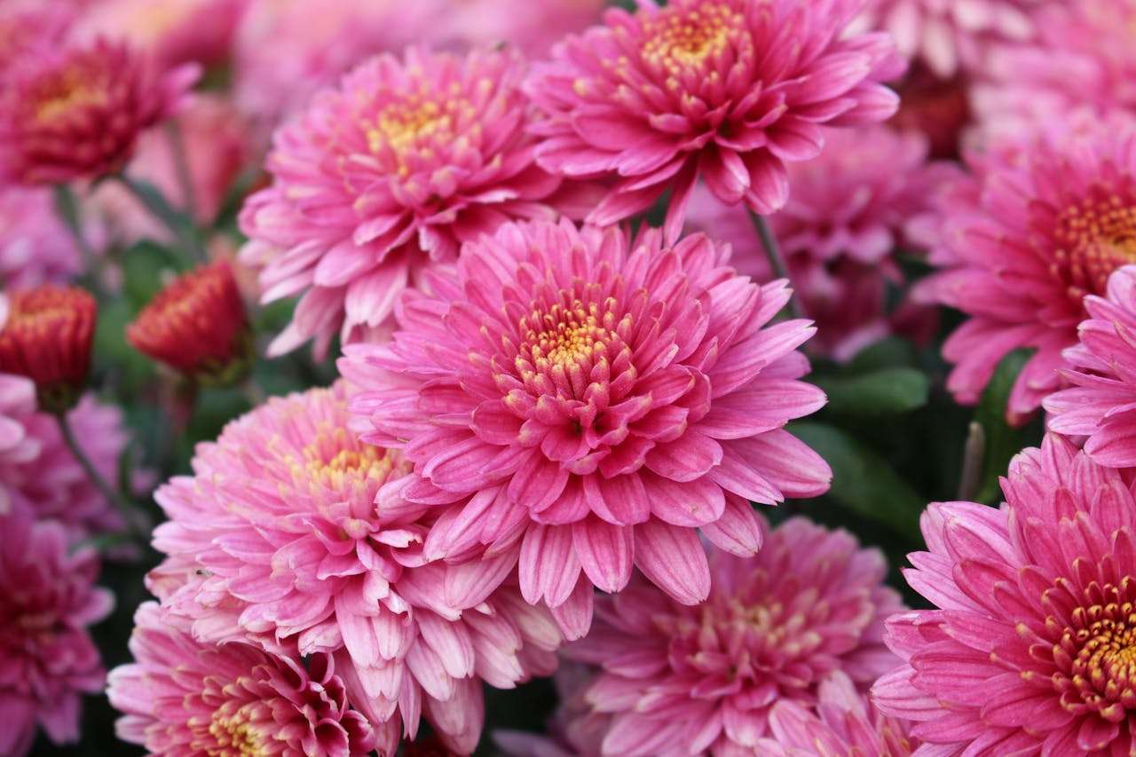 如何学好英语：4篇初中生英语学习经验分享 | 水滴英语作文网